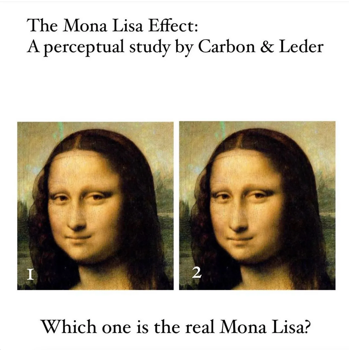 The Mona Lisa Effect, the Pillowface Filter, and the Uncanny Valley ...